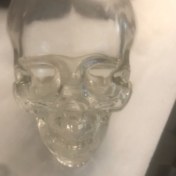 Art | Collectible Clear Skull | Poshmark